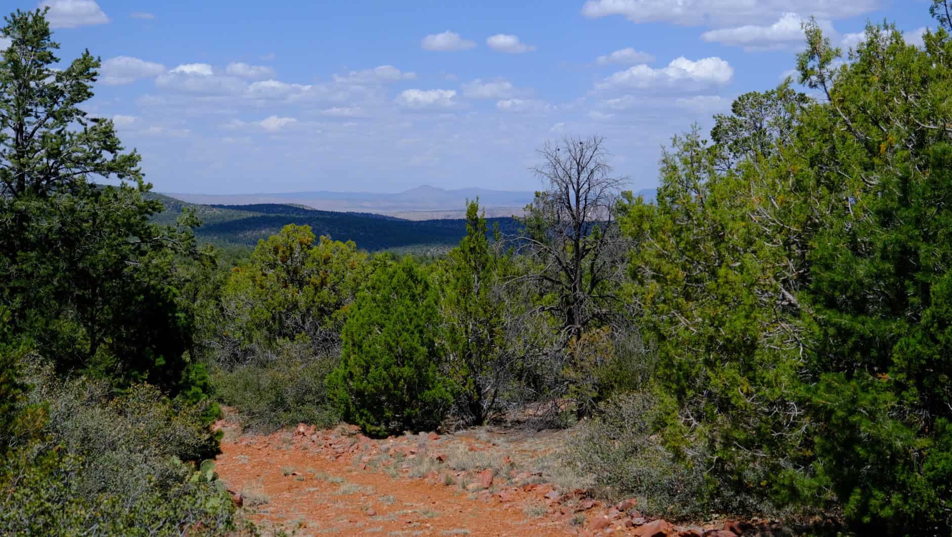 Get Raw Land – Endless Possibilities